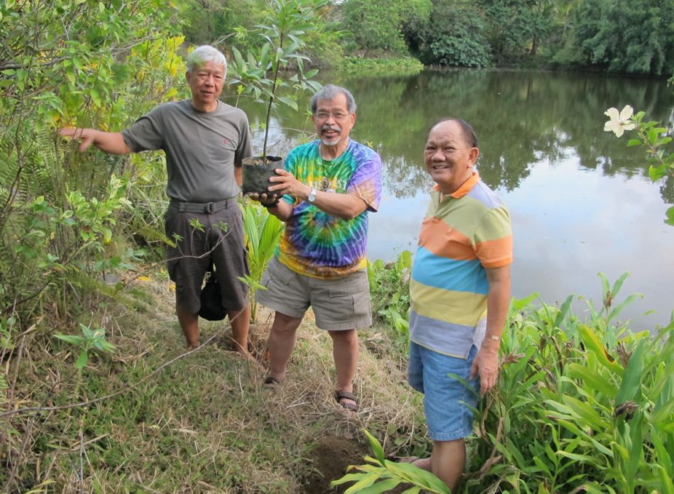 Alay: the Philippine native trees in the Victor O. Ramos Arboretum ...